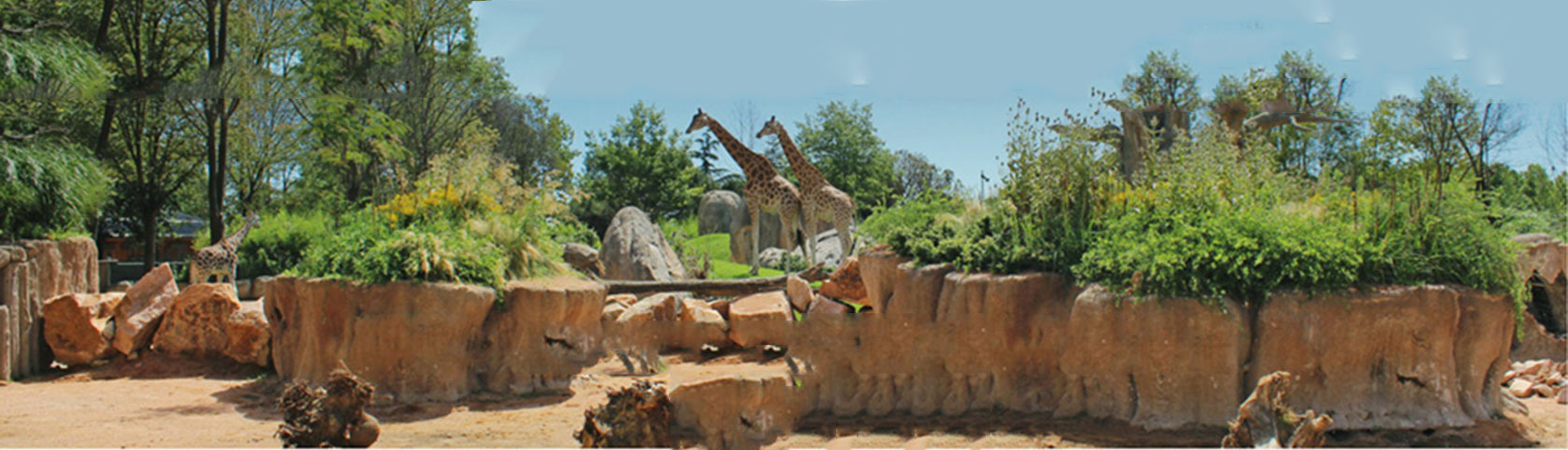 Mondo Zoom - Zoom Torino